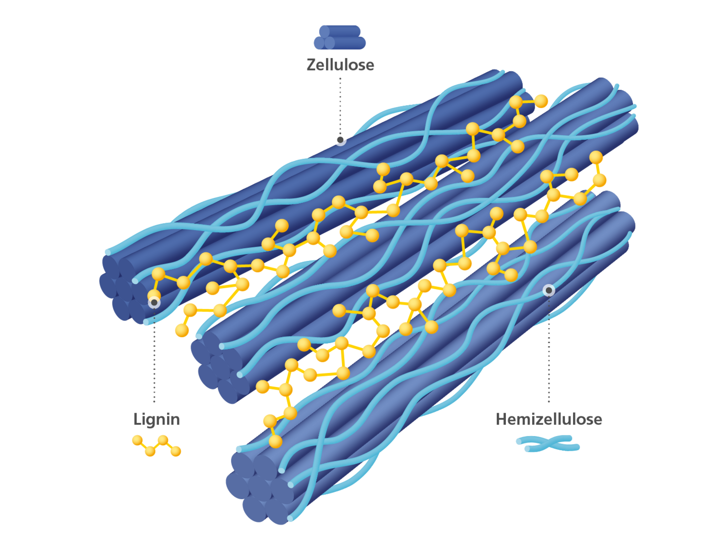 Lignin: From process consulting to turnkey systems | Hosokawa Alpine